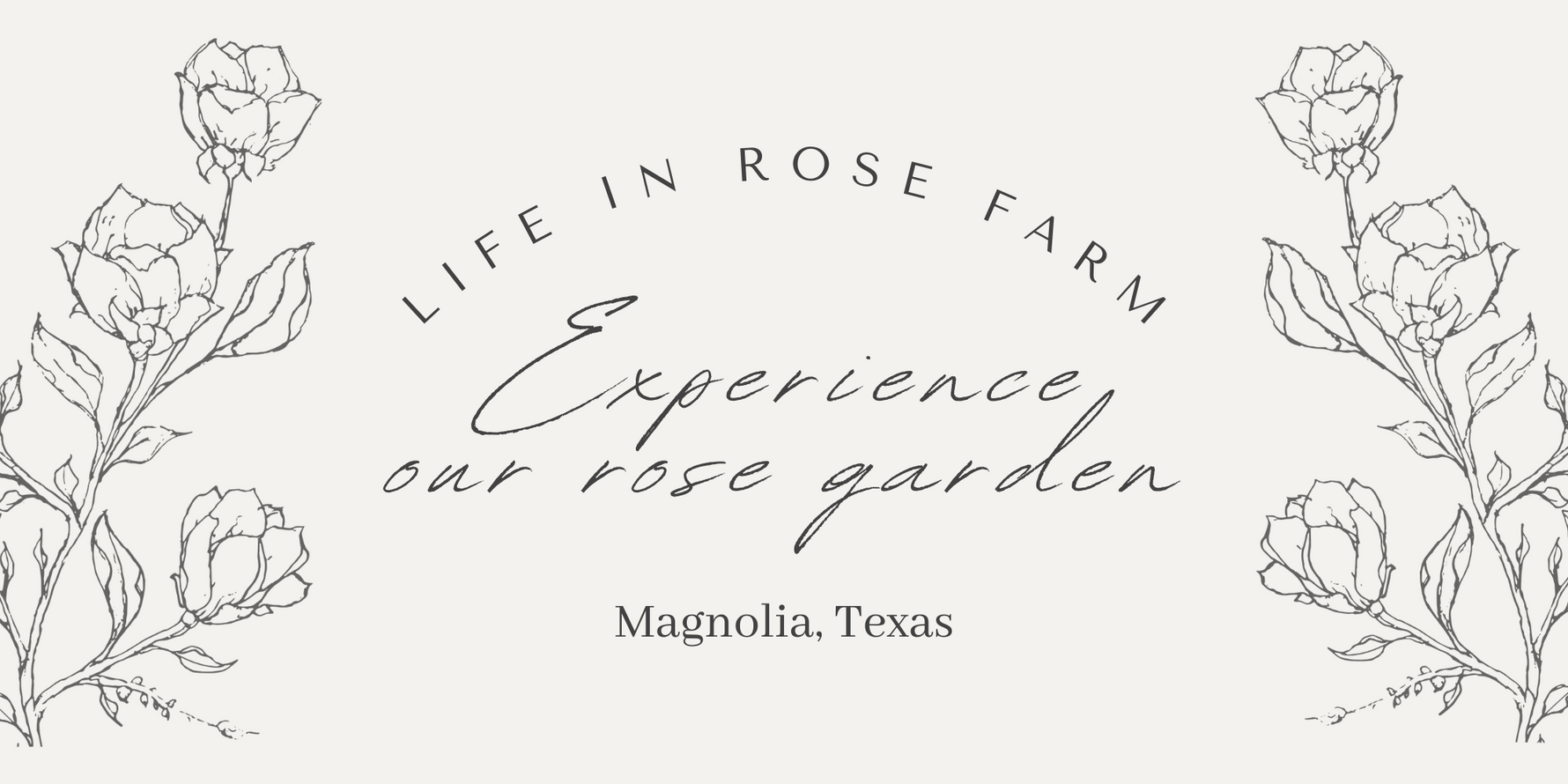 Life in Rose Farm