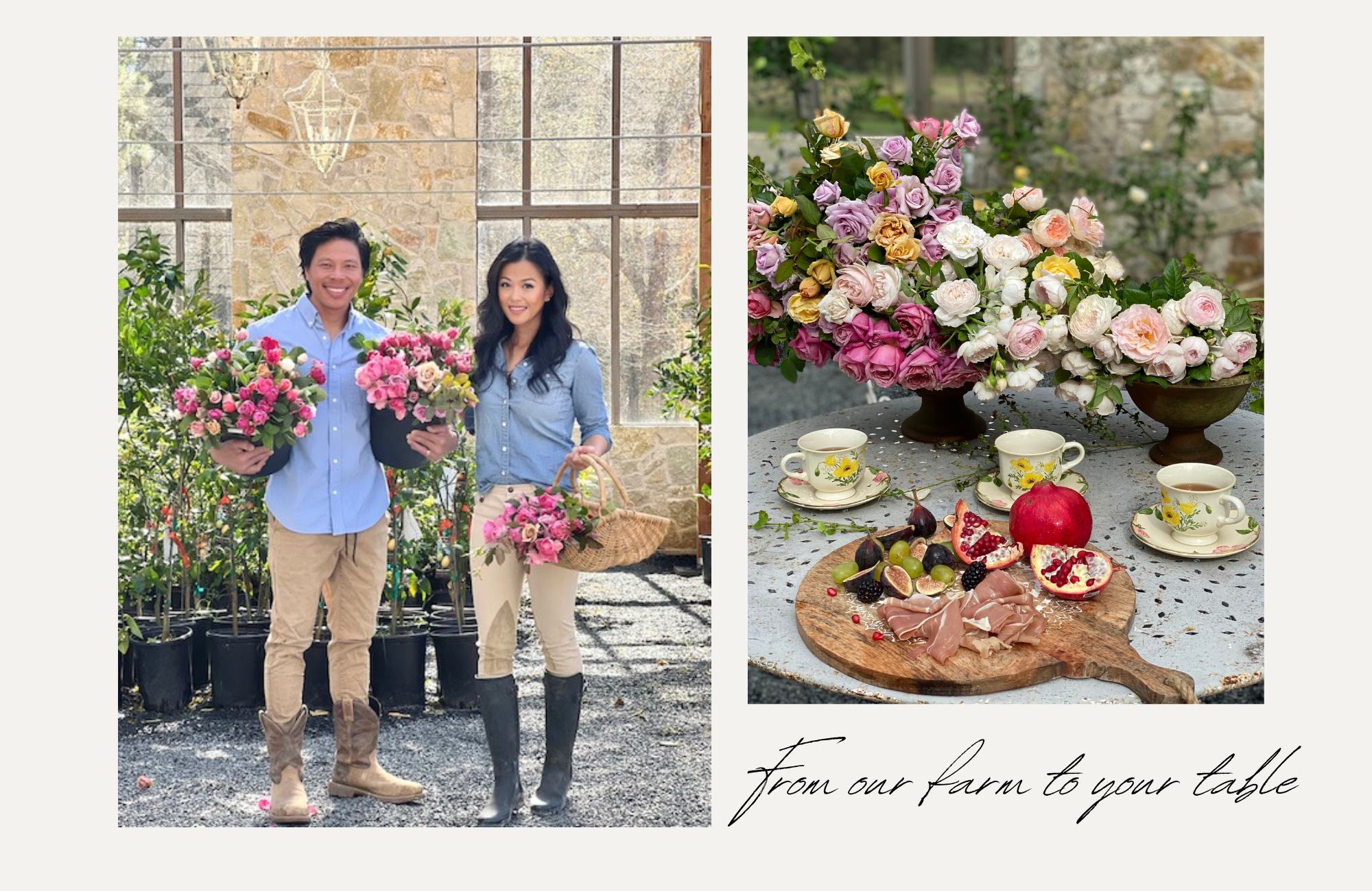 About Life In Rose Farm – Life in Rose Farm