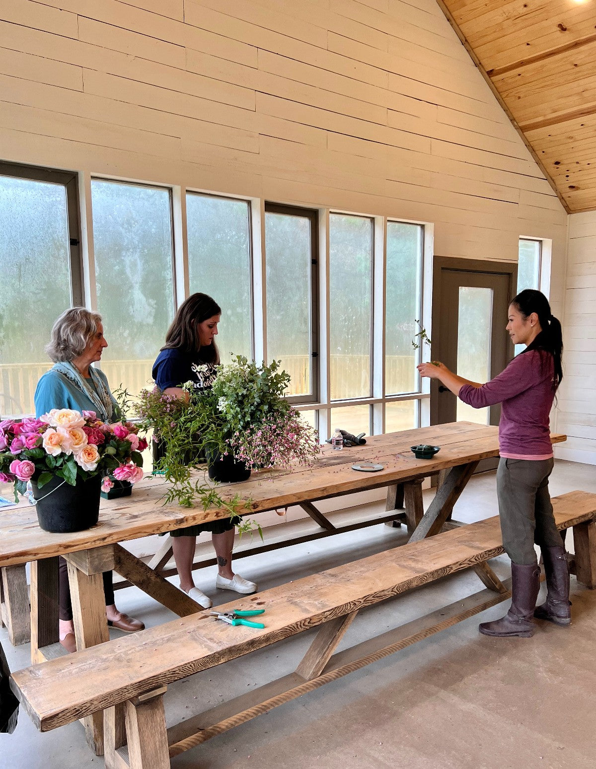 Frequently Asked Questions – Life in Rose Farm