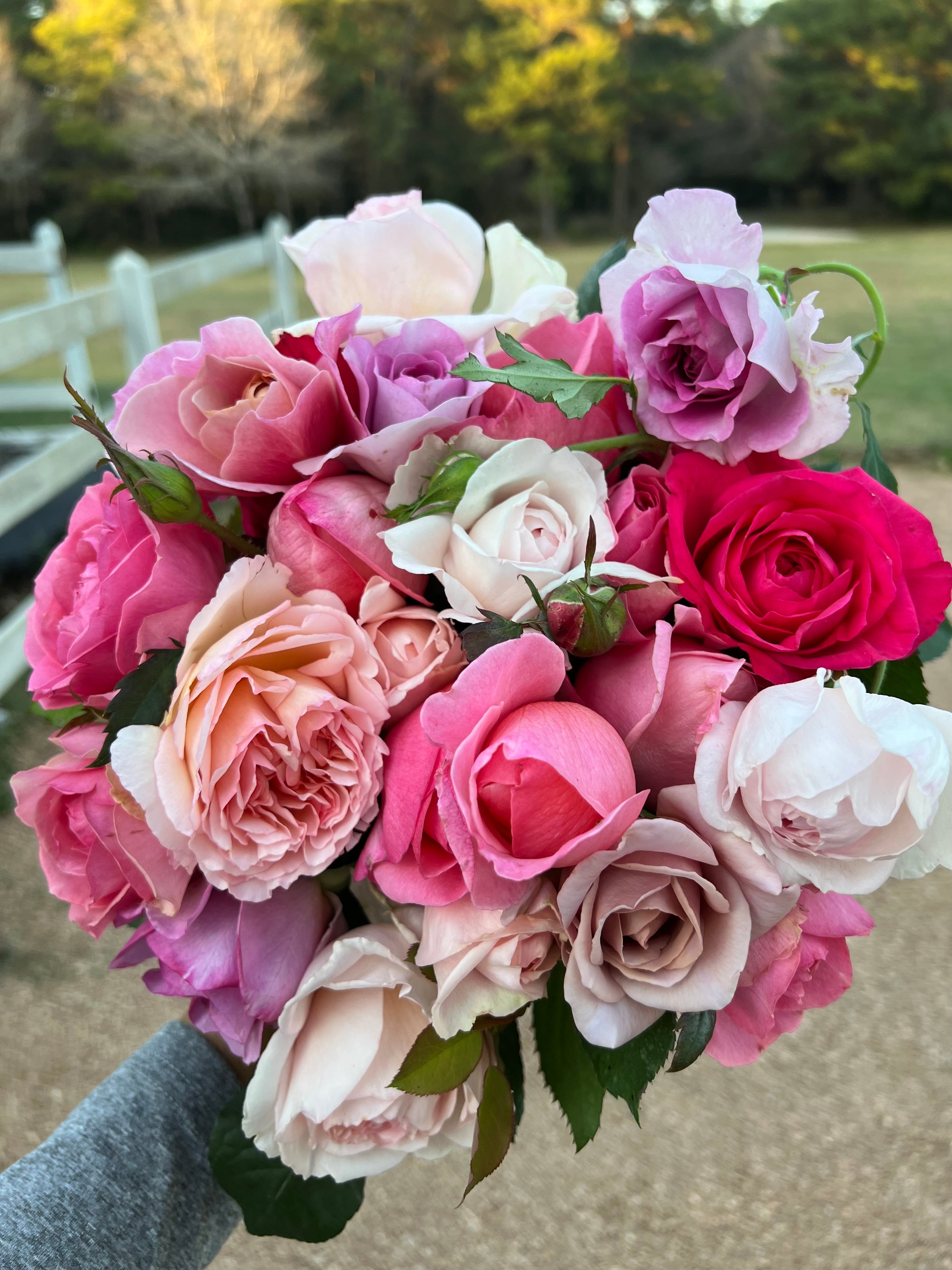 Products – Life in Rose Farm